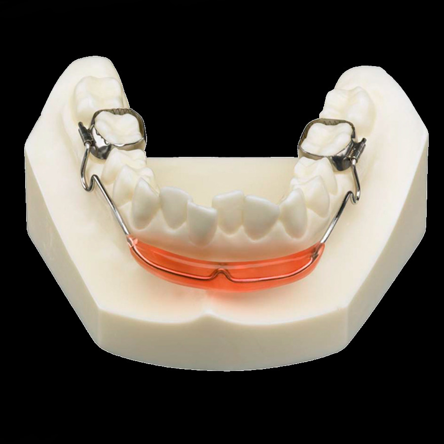 Lip Bumper Biodental Lip Bumper Biodental